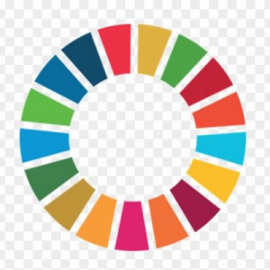 Small SDG Circle – Rob Tiffany